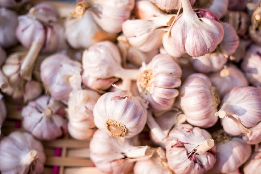 What Happens When You Add Garlic to Your Diet Every Day – Health Prepper