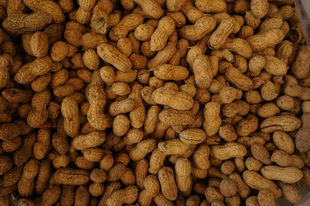 The Shocking Health Truth About Peanuts – Health Prepper