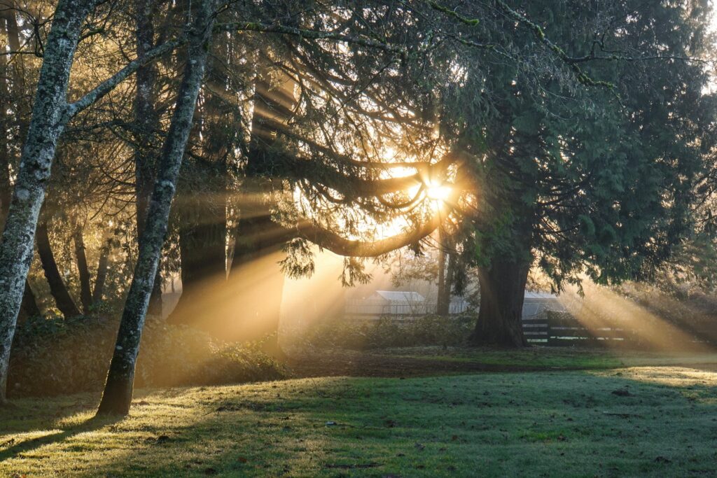 Why Do Some People Sneeze When They Step Into Sunlight? – Health Prepper