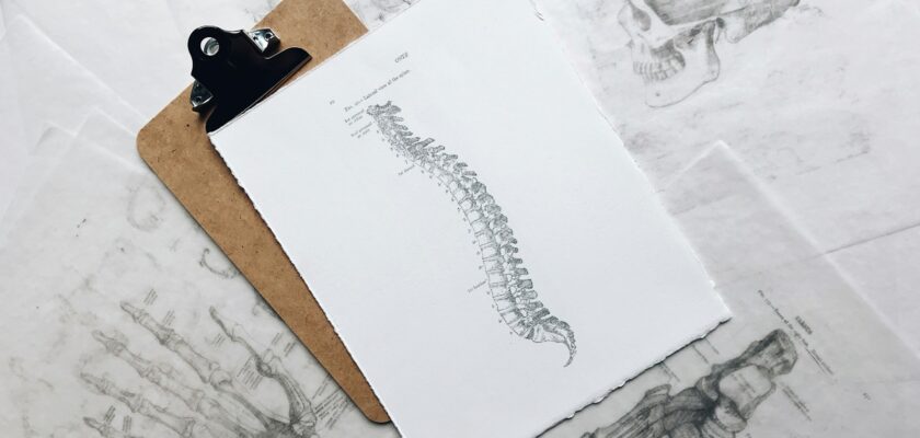 What’s The Average Length Of The Adult Spinal Cord? – Health Prepper