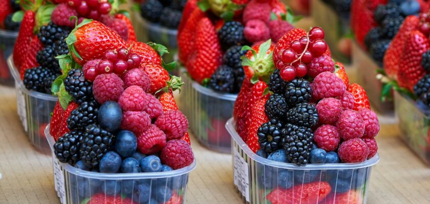 The Best Snack Choice for Brain and Heart Health – Health Prepper