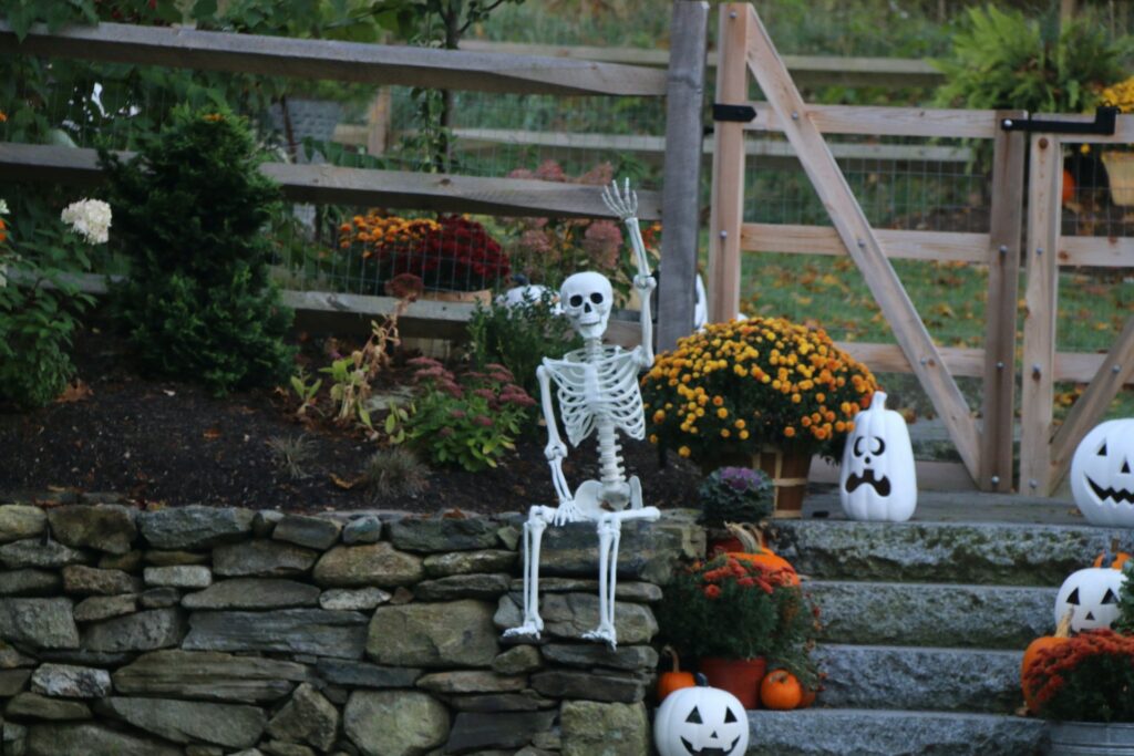 What Color Are Human Bones Actually Inside The Body? – Health Prepper